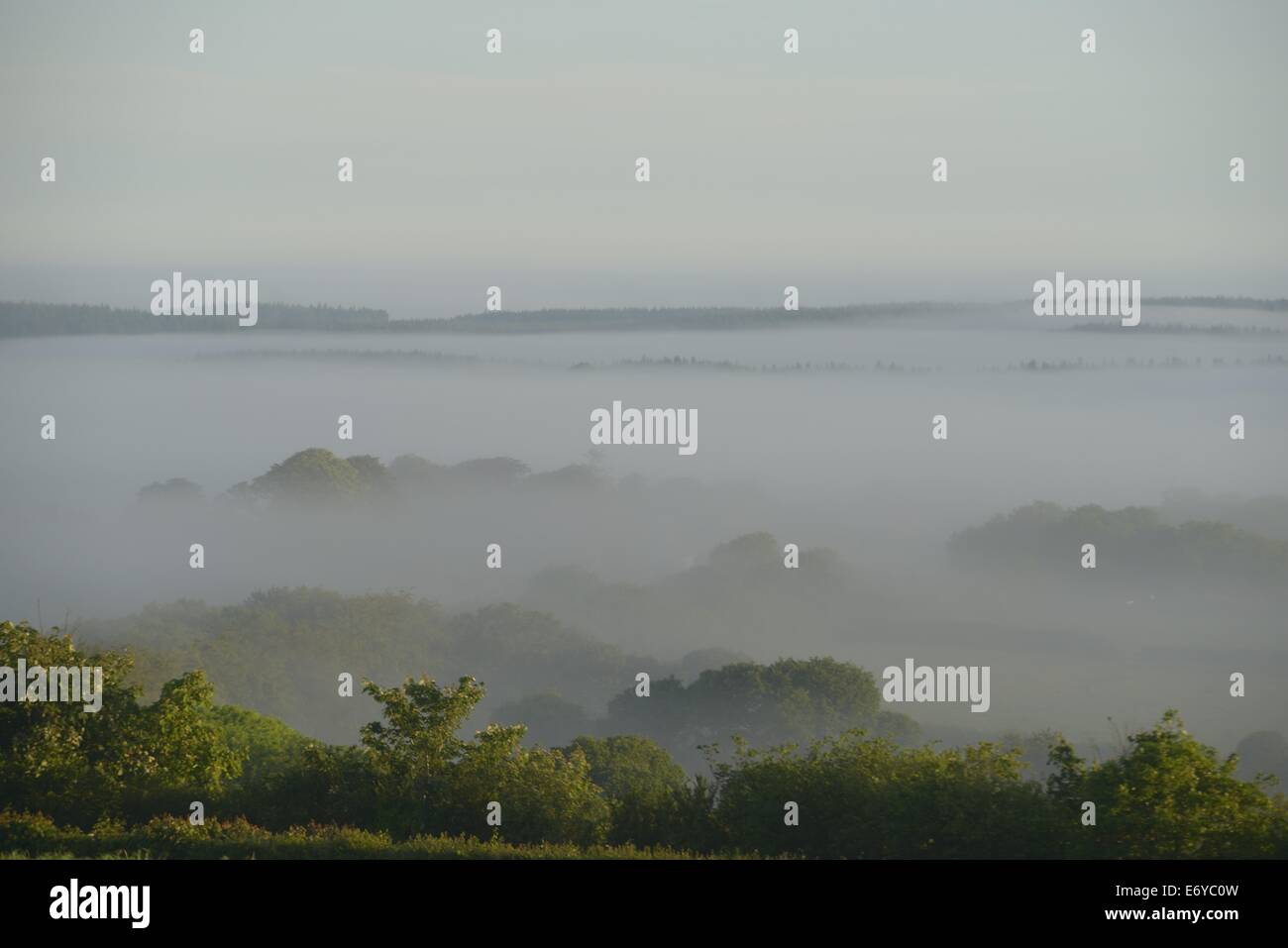 Devon morning mist hi-res stock photography and images - Alamy