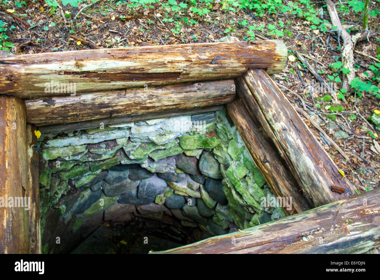 Old moldy well Stock Photo - Alamy