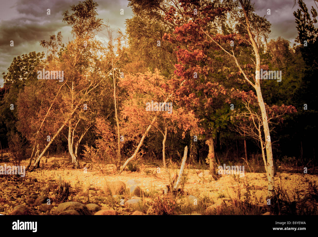 Beginning of autumn Stock Photo - Alamy