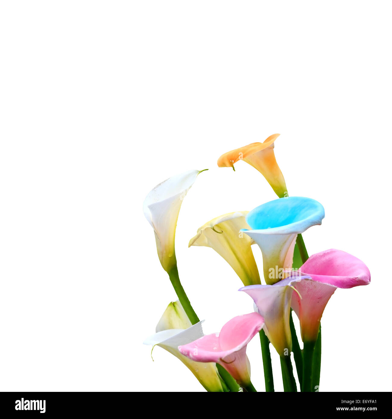 Lily mountain Cut Out Stock Images & Pictures - Alamy