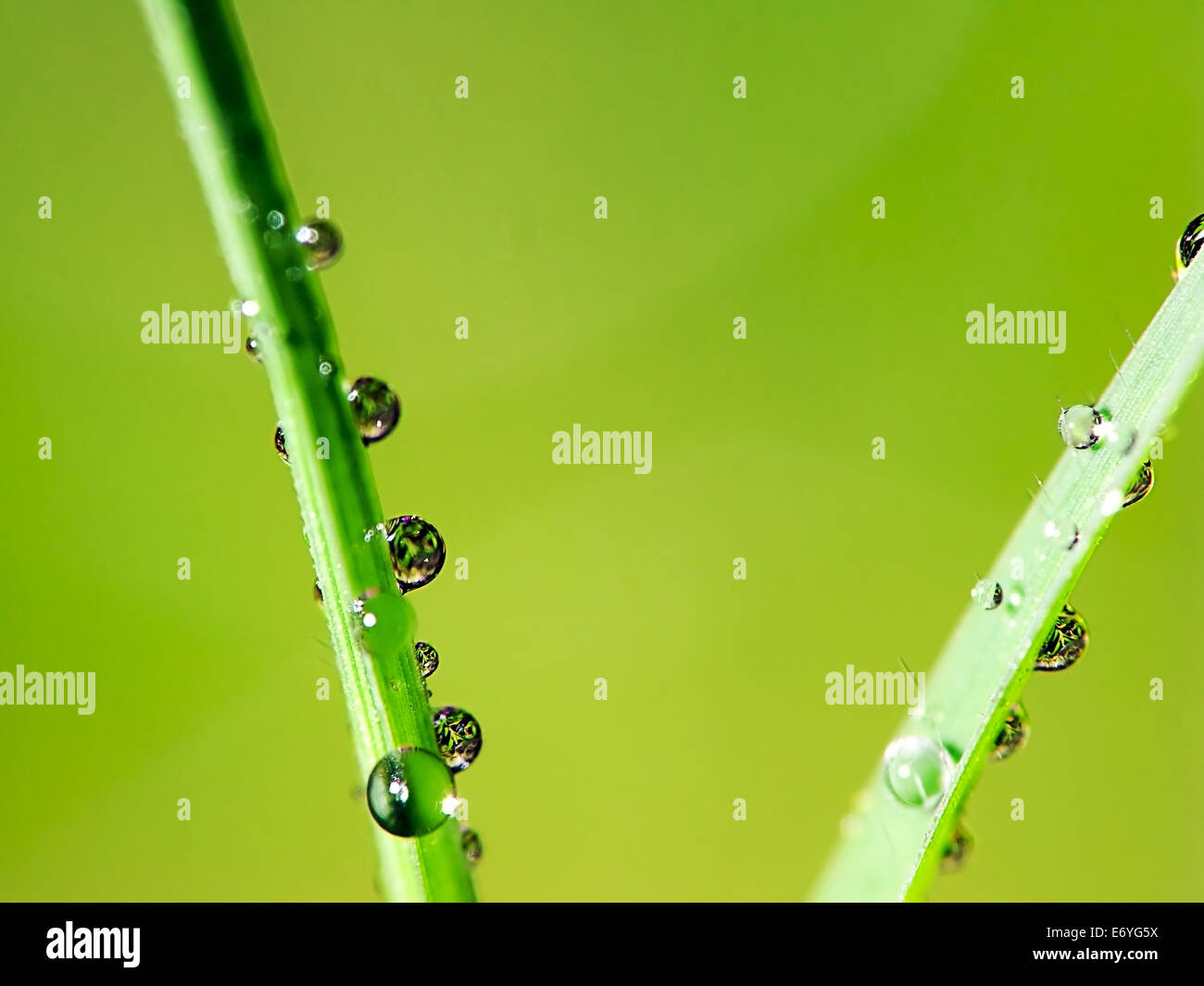 Abstract background. Drops of water for adv or others purpose use Stock ...