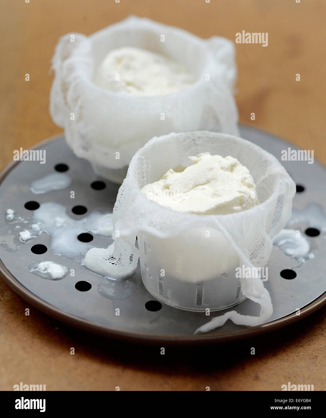Small fresh goat's cheese Stock Photo - Alamy