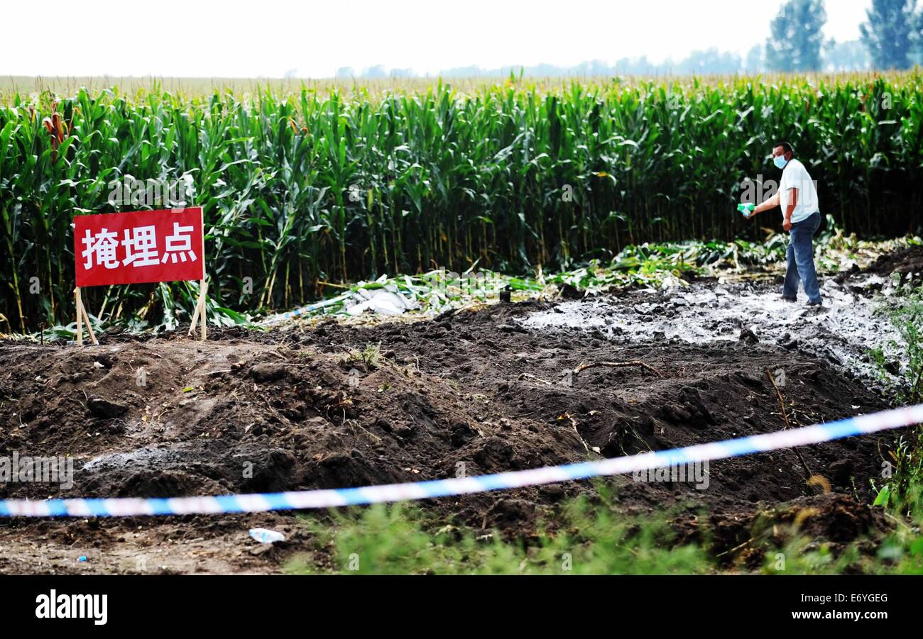 Harbin a bird hi-res stock photography and images - Alamy