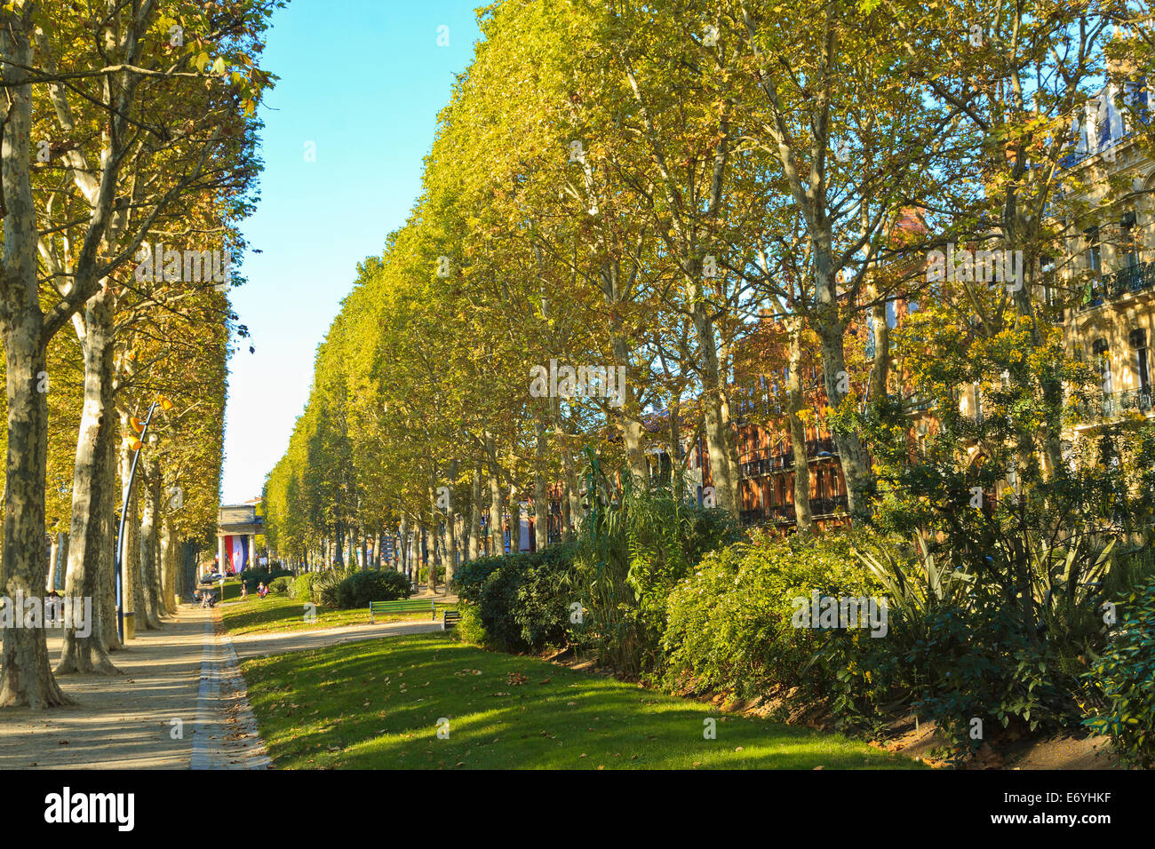 France, Toulouse, Allee Francois Verdier Stock Photo - Alamy