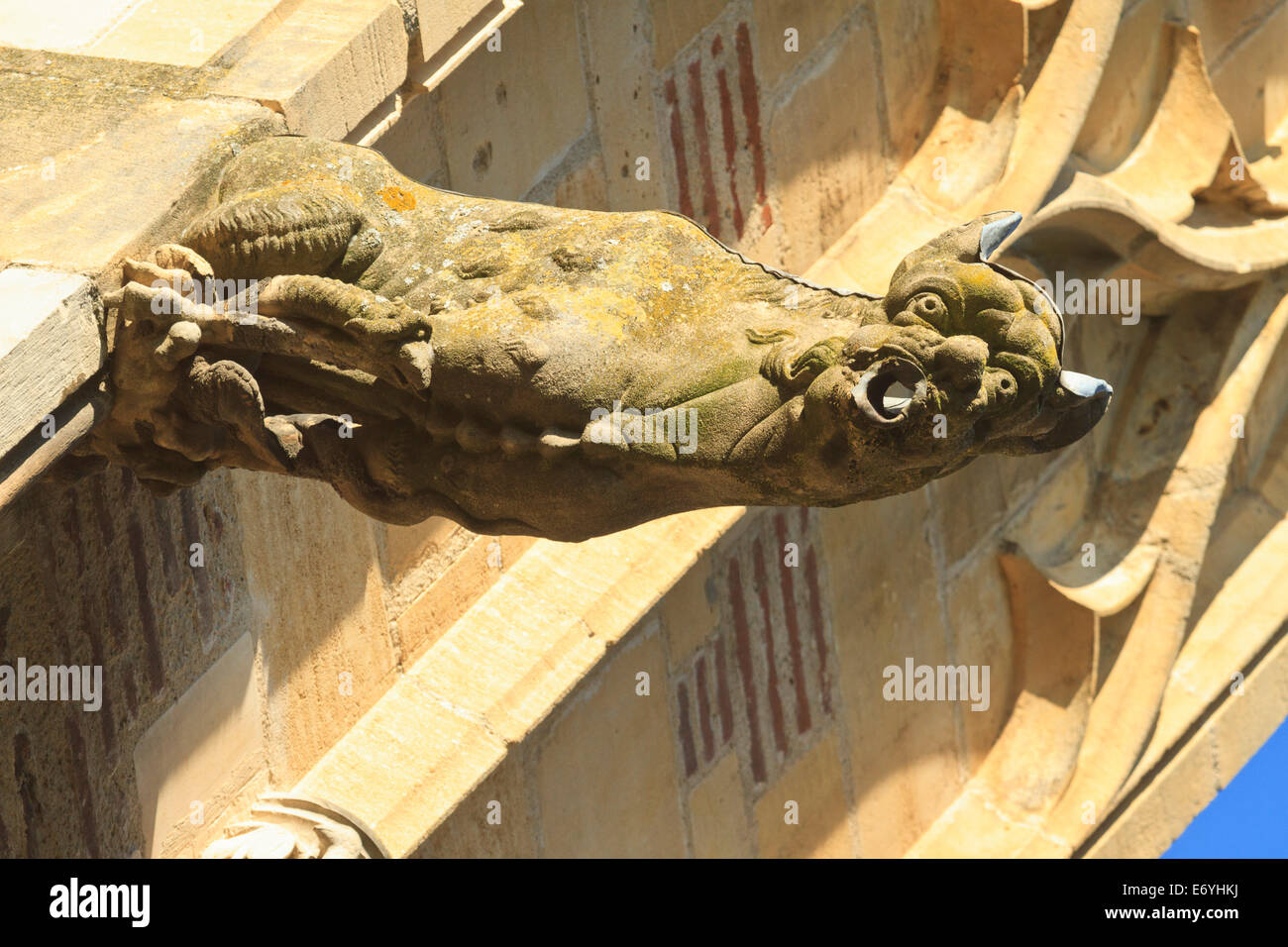 Gargoyle side view hi-res stock photography and images - Alamy