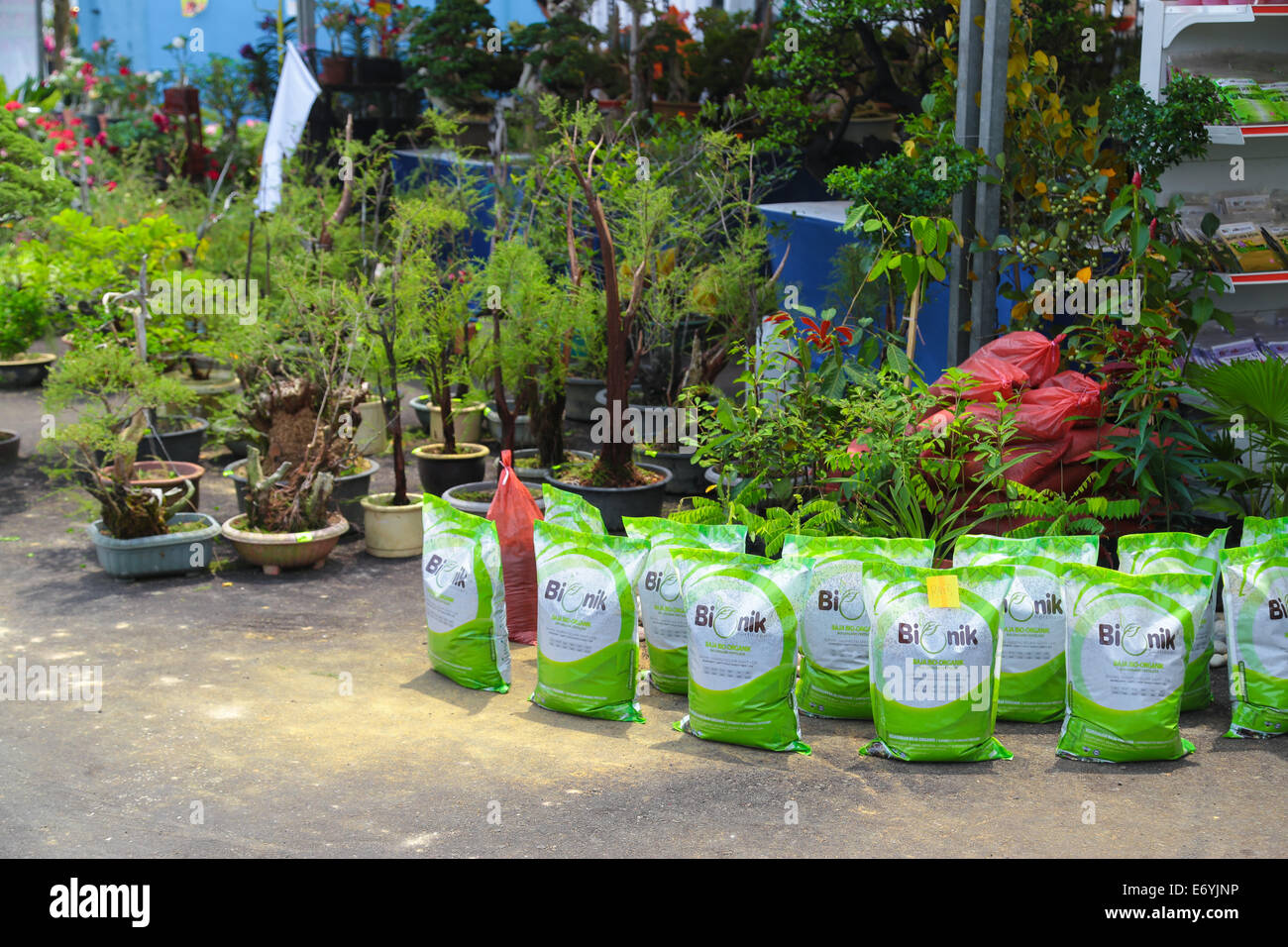 Potted plant and fertilizer for sale Stock Photo - Alamy