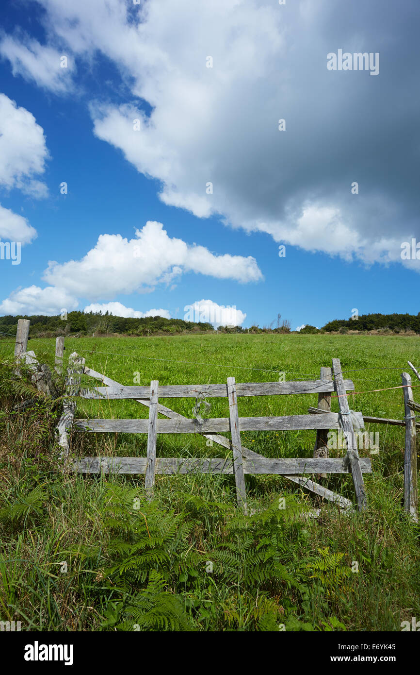 Gate and field, Normandy, France Stock Photo - Alamy
