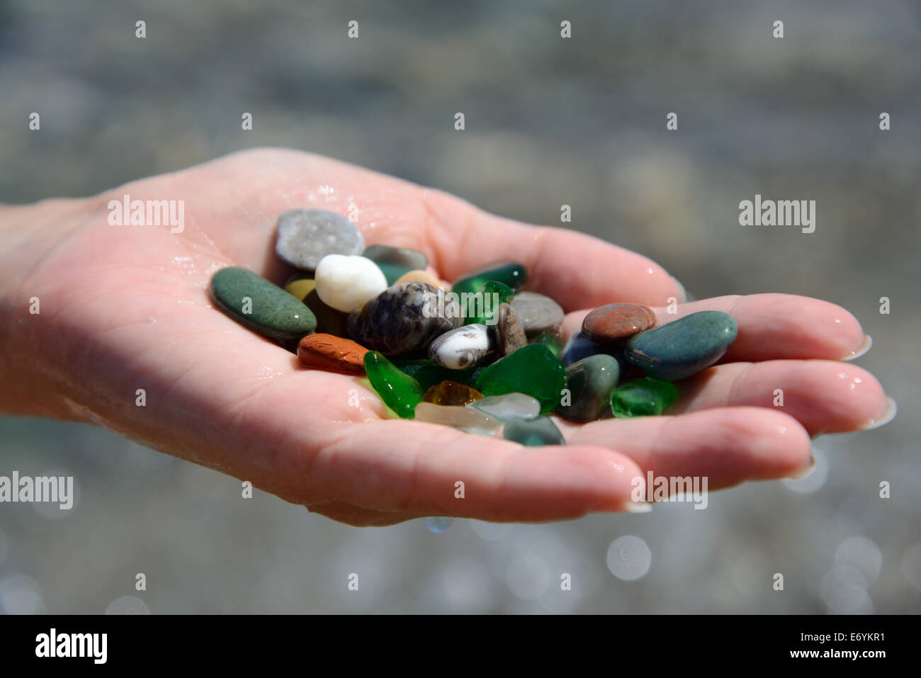 sea pebble on the palm Stock Photo - Alamy