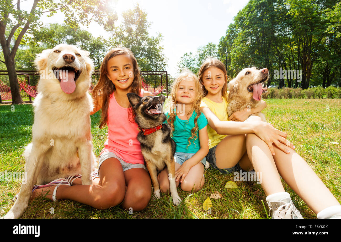 Three dogs summer hi-res stock photography and images - Alamy