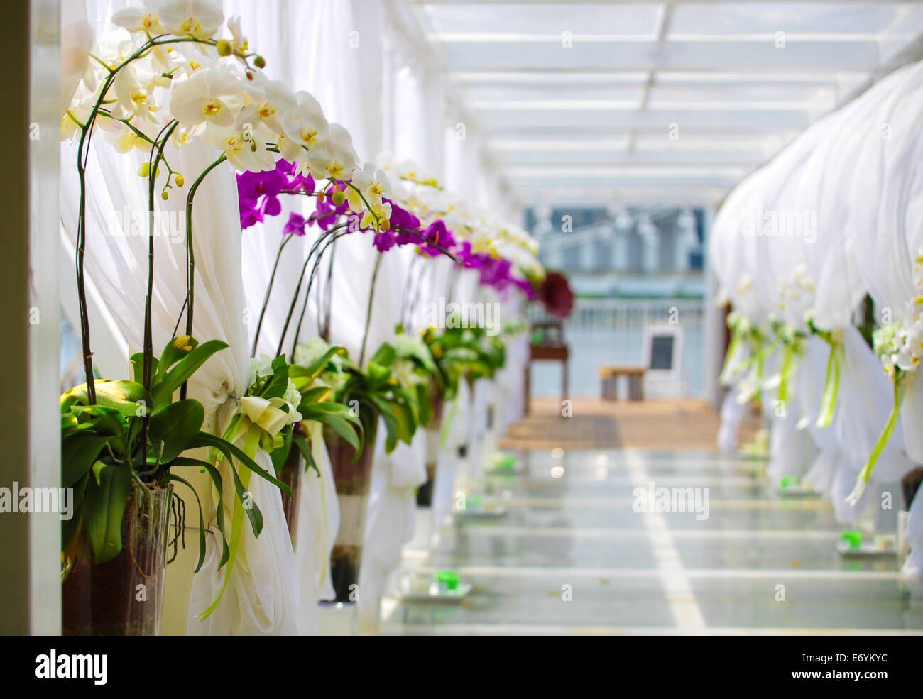 Flowers lifestyle hi-res stock photography and images - Alamy