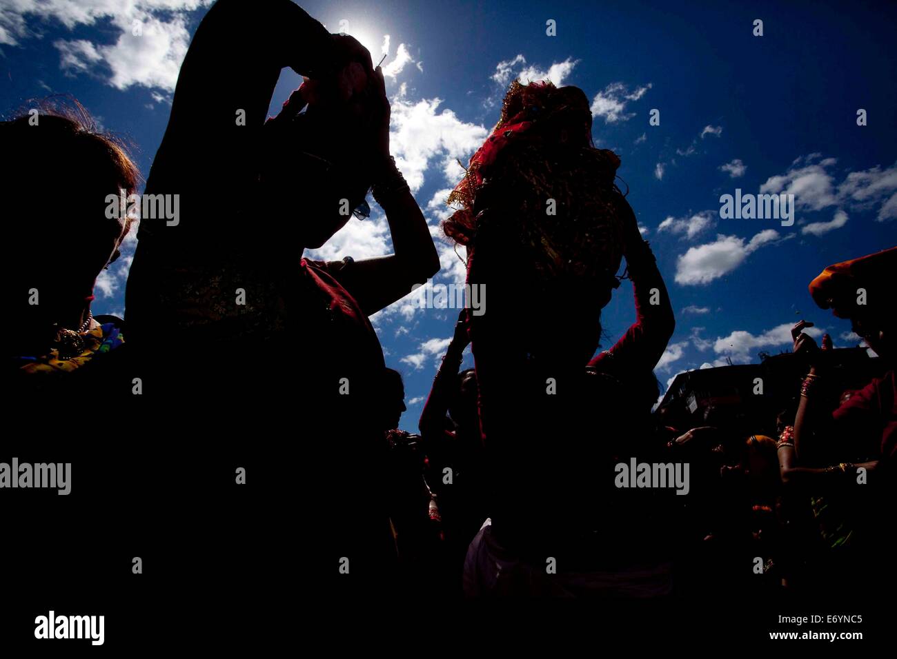 Gaura parva hi-res stock photography and images - Alamy