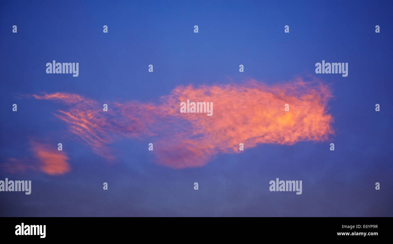 Fish cloud hi-res stock photography and images - Alamy