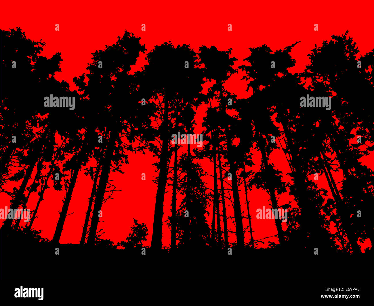 Evergreen tree line drawing hi-res stock photography and images - Alamy