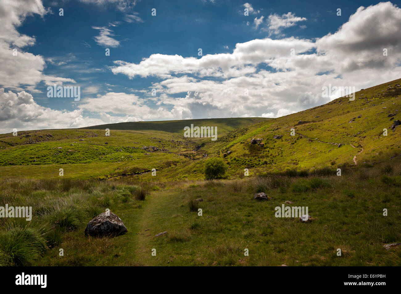 Moorland at the national park hi-res stock photography and images - Alamy