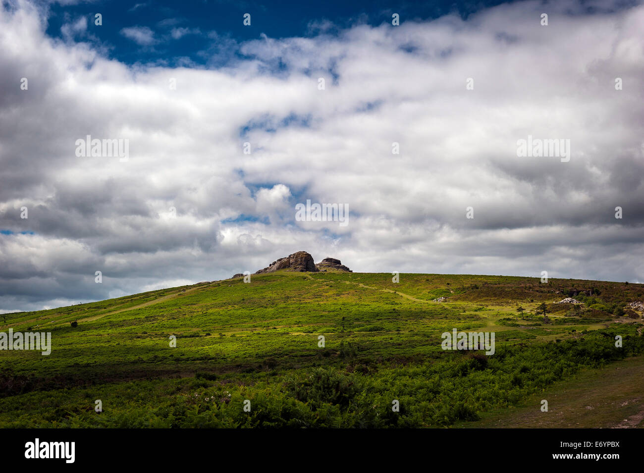 Haytor in the Dartmoor National Park, Devon, UK Stock Photo - Alamy