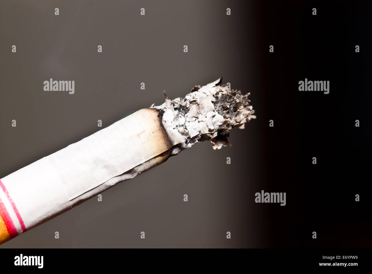 the stub of cigarette Stock Photo - Alamy