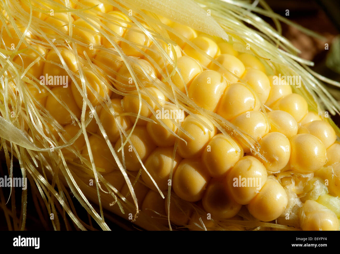 Still life food image of Sweetcorn Stock Photo - Alamy