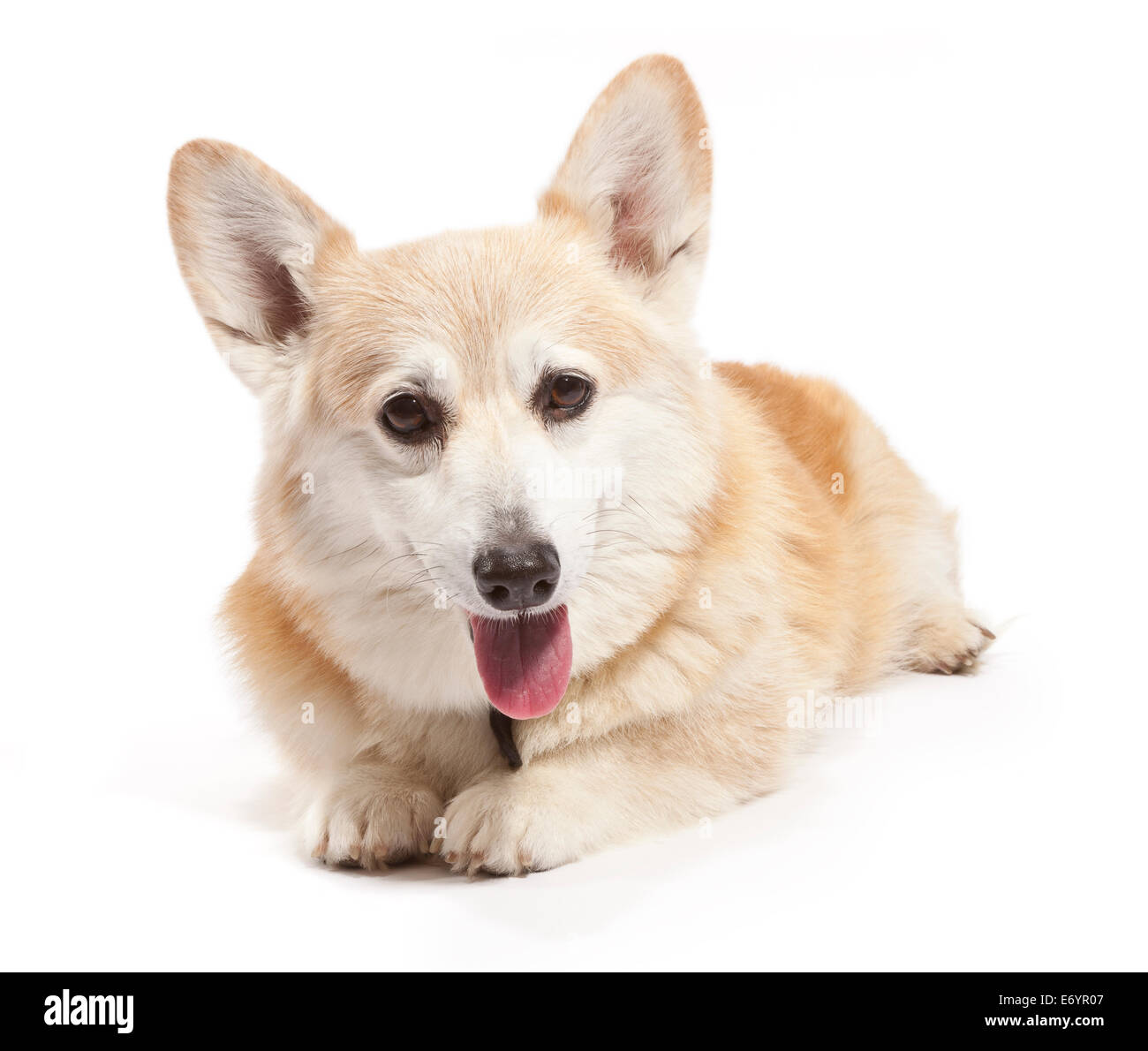 11 years Cut Out Stock Images & Pictures - Alamy