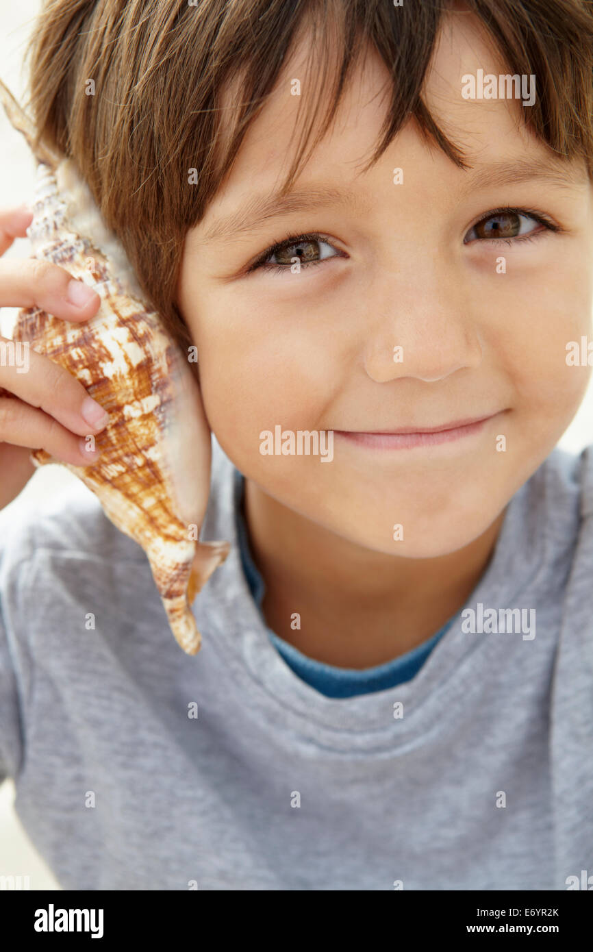 Seashell hi-res stock photography and images - Alamy