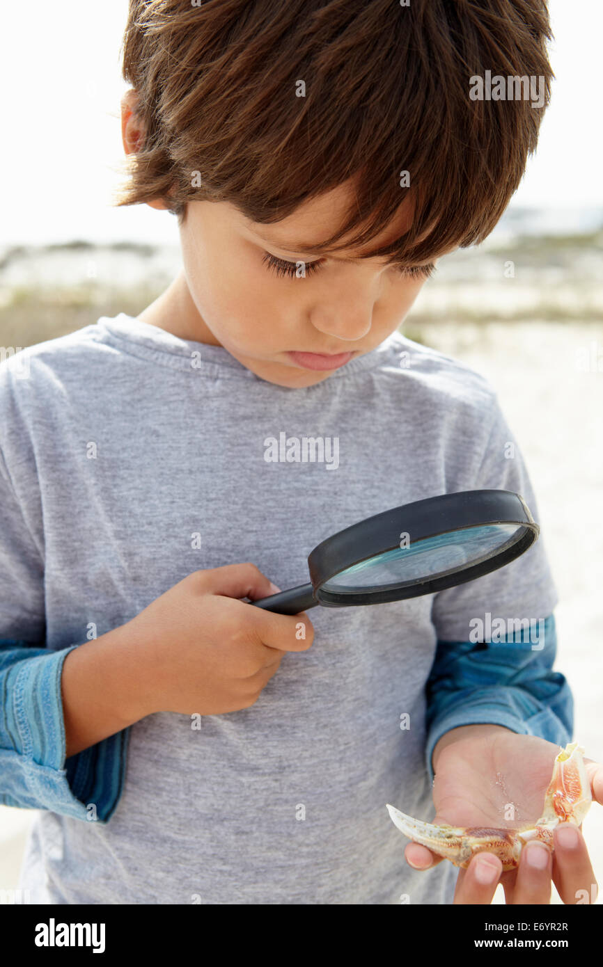 Young boy examining seashell Stock Photo - Alamy