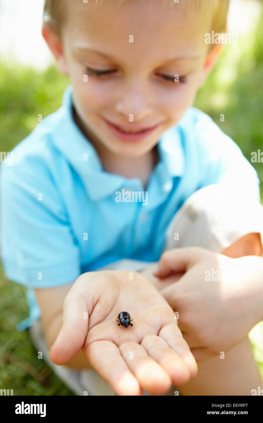 Young boy with beetle Stock Photo - Alamy