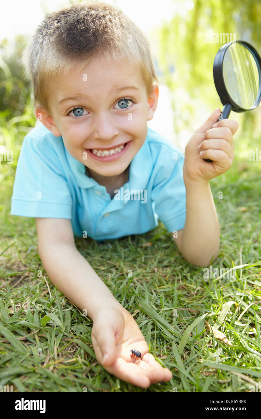 Boy holding beetle hi-res stock photography and images - Alamy