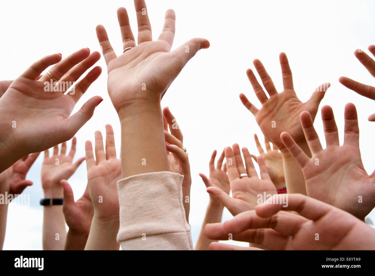 Detail hi-res stock photography and images - Alamy