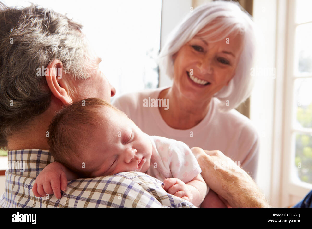 Dog man indoors hi-res stock photography and images - Alamy