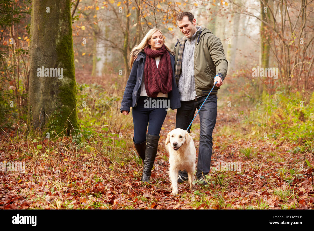 Couple Walking Dog Through Winter Woodland Stock Photo - Alamy