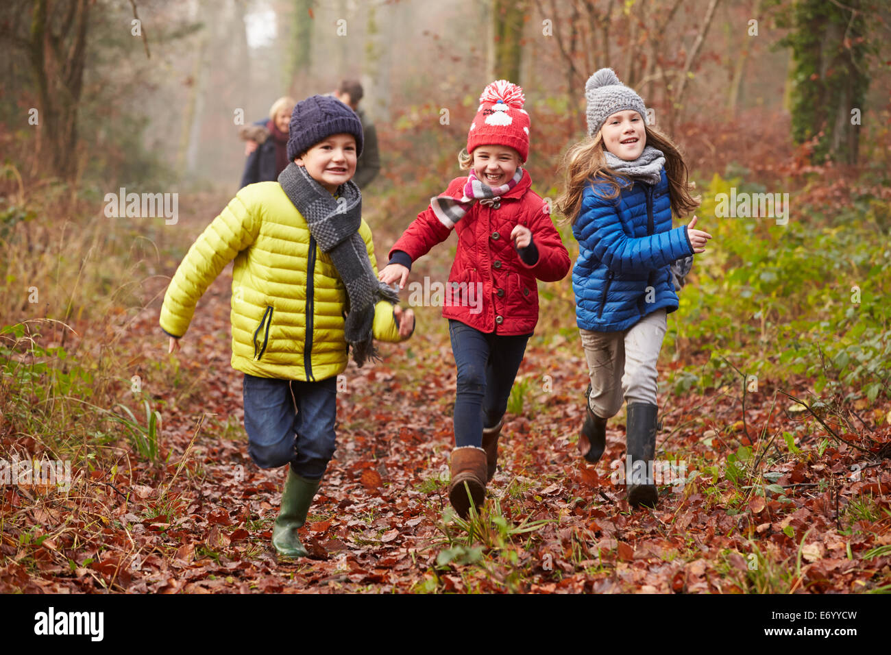 Walking through winter forest woman hi-res stock photography and images ...