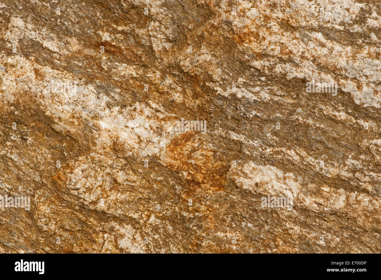 Details on Glacial Erratic Bolder Stock Photo - Alamy