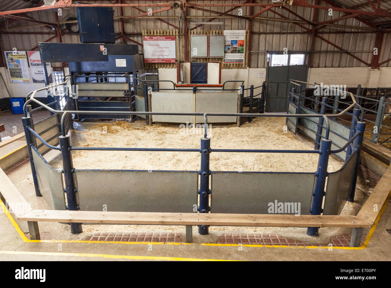 Empty auction ring hi-res stock photography and images - Alamy