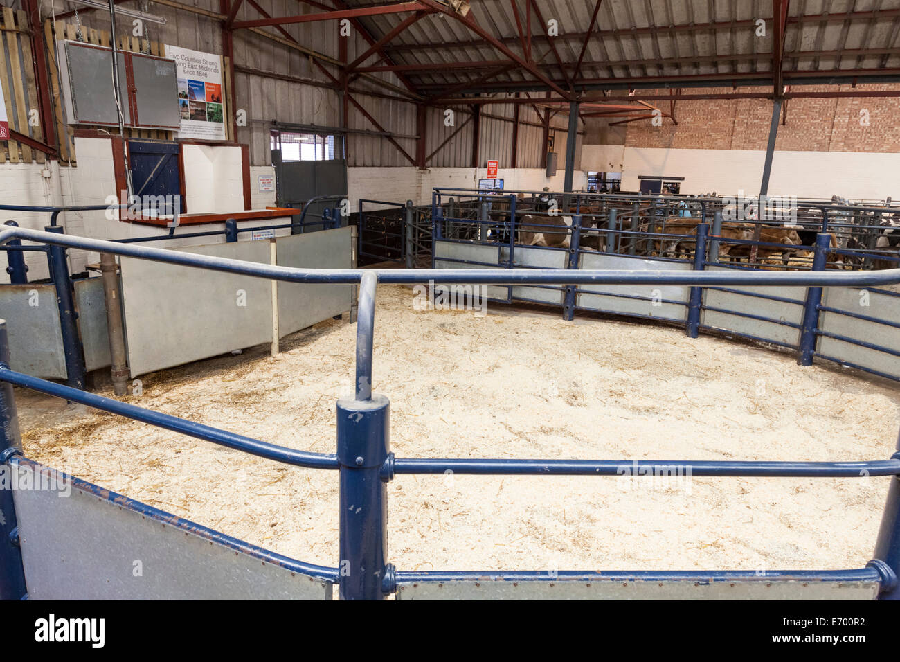 Empty livestock auction ring, Melton Mowbray, Leicestershire, England ...