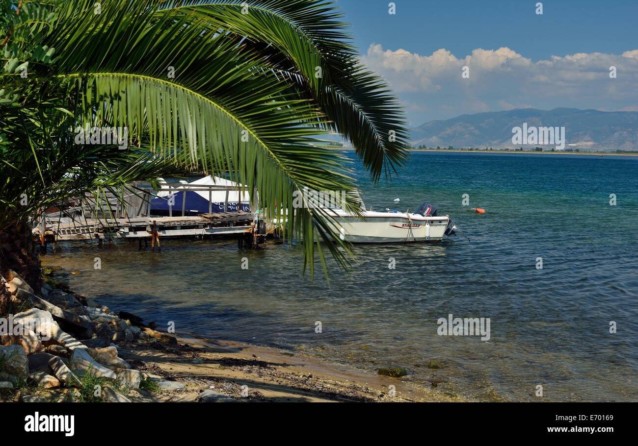 palm tree and boats Stock Photo - Alamy