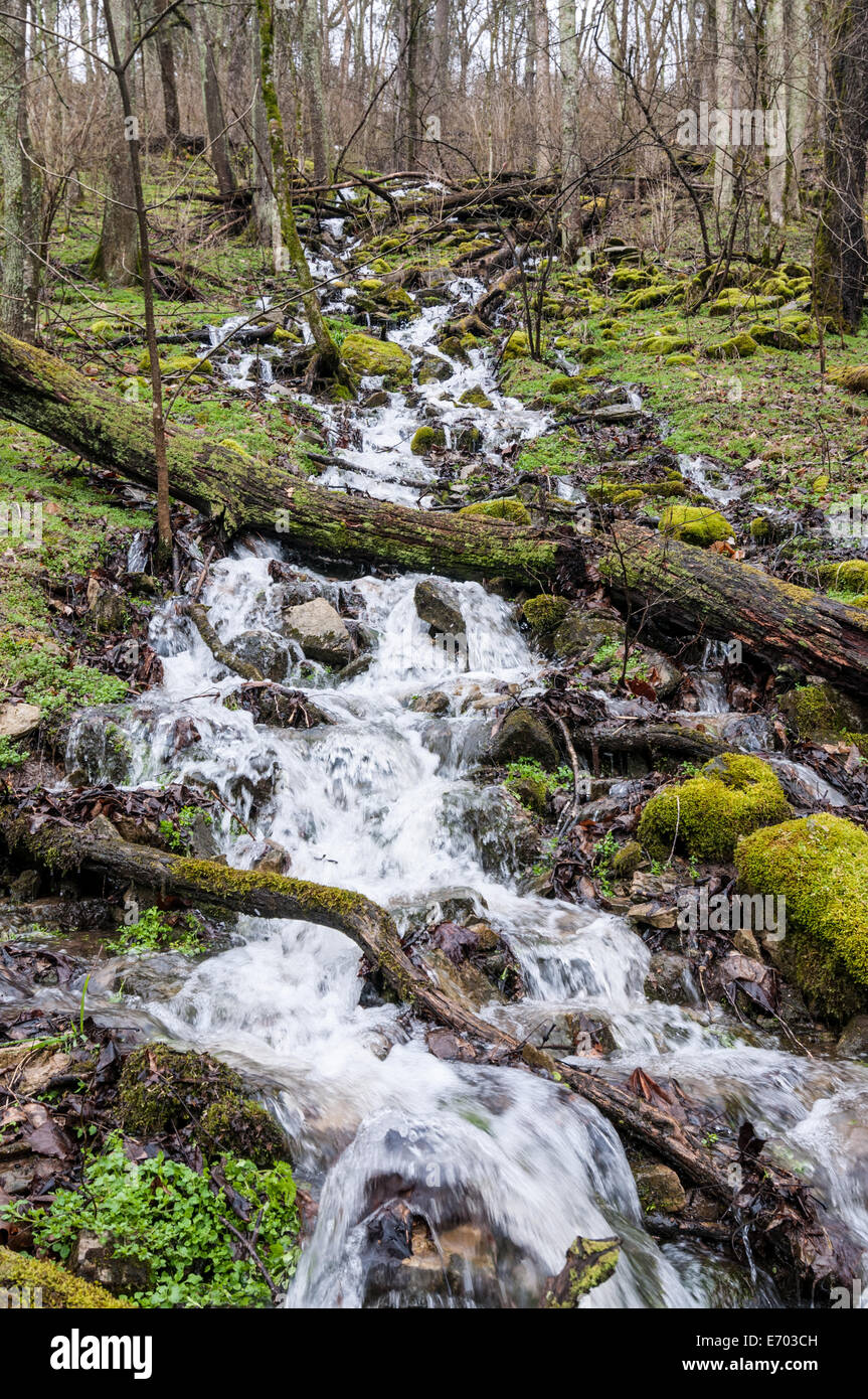 Woodland steam swollen by heavy rains Stock Photo - Alamy