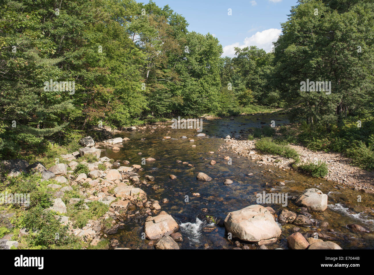 Tree trees flow waters hi-res stock photography and images - Alamy