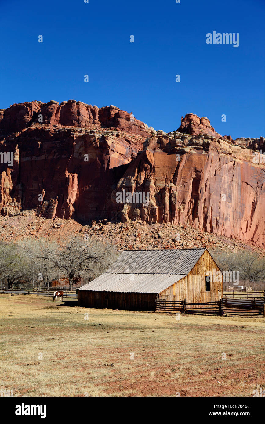USA, Utah, Capitol Reef National Park, Historic Gifford Homestead Barn ...