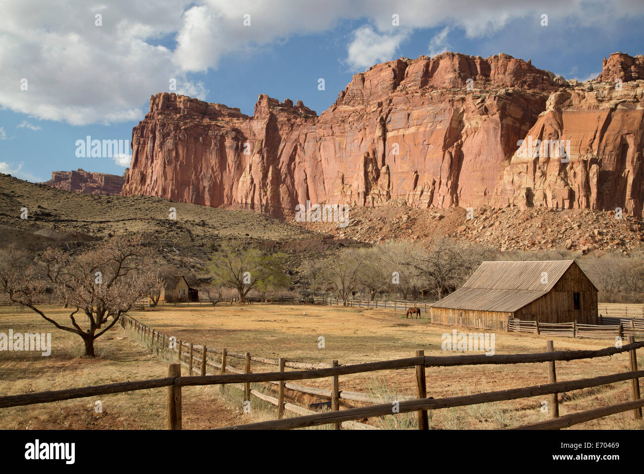 USA, Utah, Capitol Reef National Park, Historic Gifford Homestead Barn ...