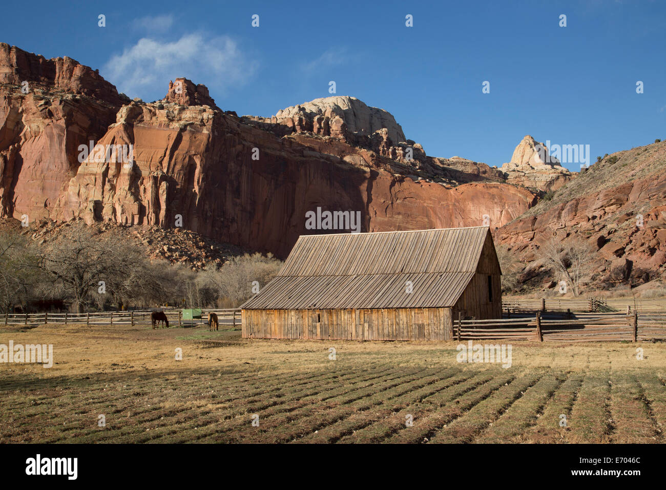 USA, Utah, Capitol Reef National Park, Historic Gifford Homestead Barn ...