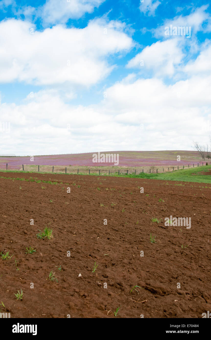 Scenic rolling farmland in the Bluegrass area of Kentucky Stock Photo ...