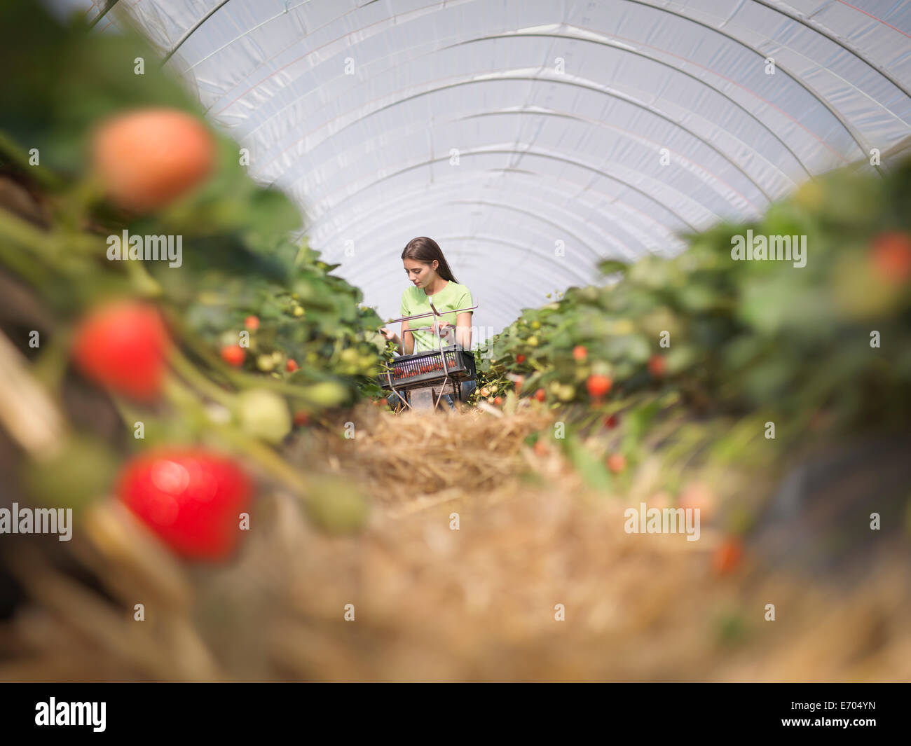 Food And Agricultural Organization High Resolution Stock Photography ...