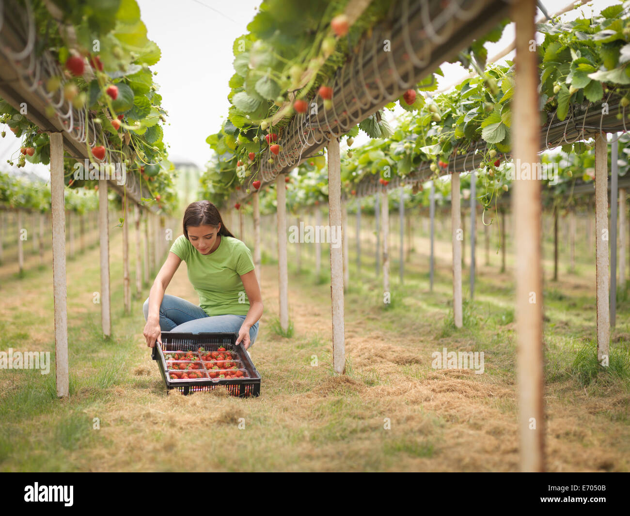 Farm container hi-res stock photography and images - Alamy