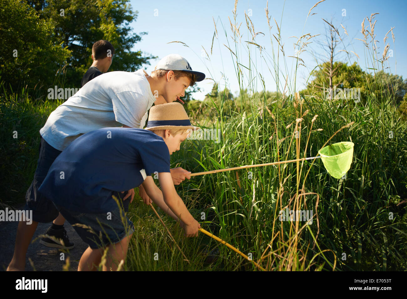 Boys using fishing nets Stock Photo - Alamy