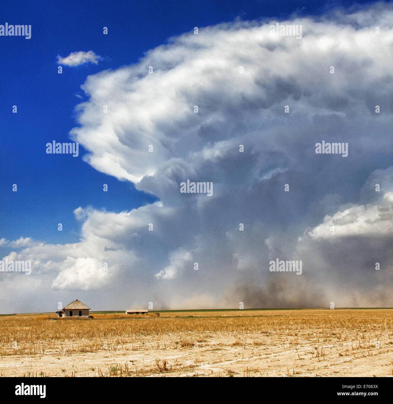 Powerful supercell, strong rear flank downdraft kicking up dust and ...