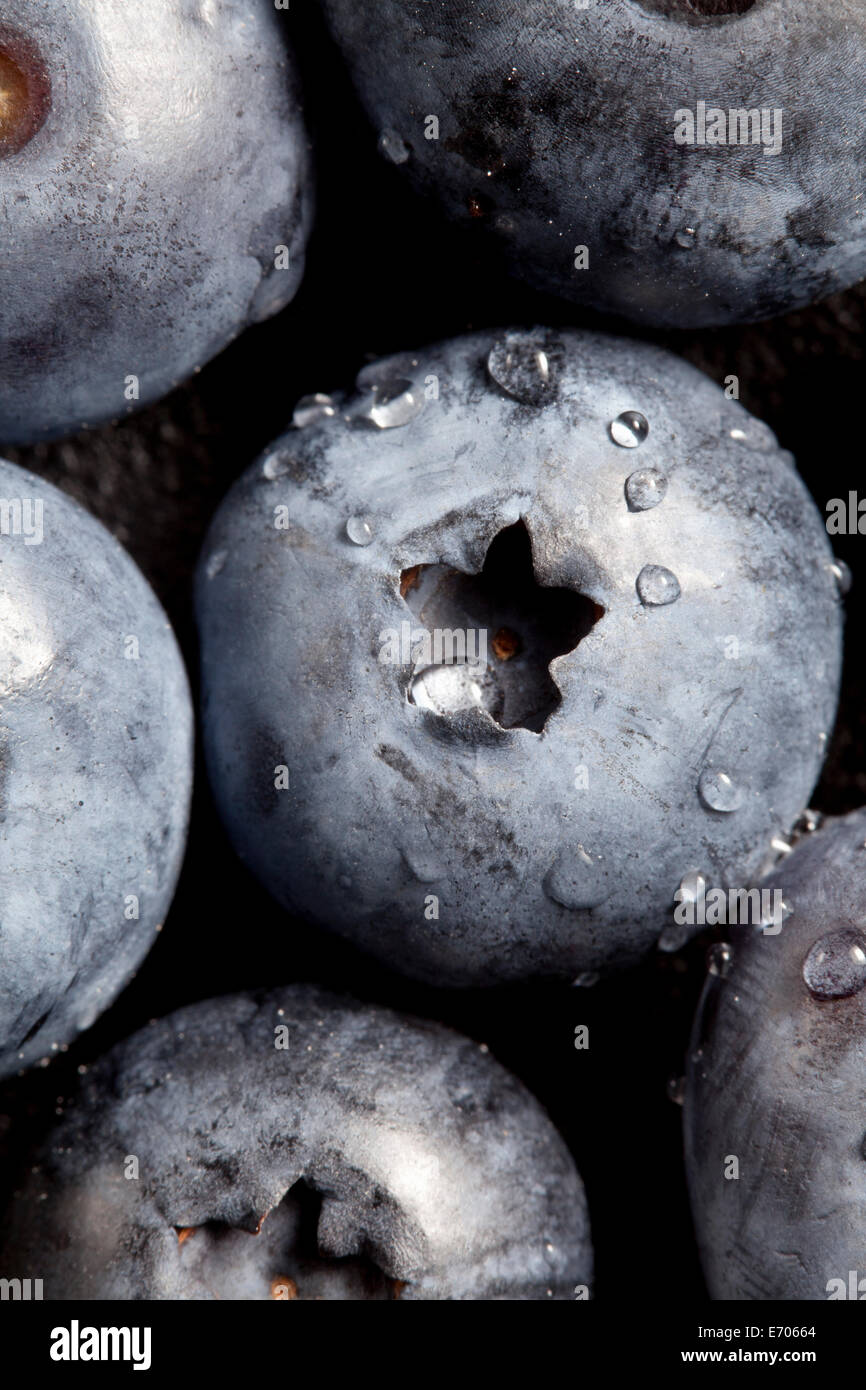 Y fresh hi-res stock photography and images - Alamy