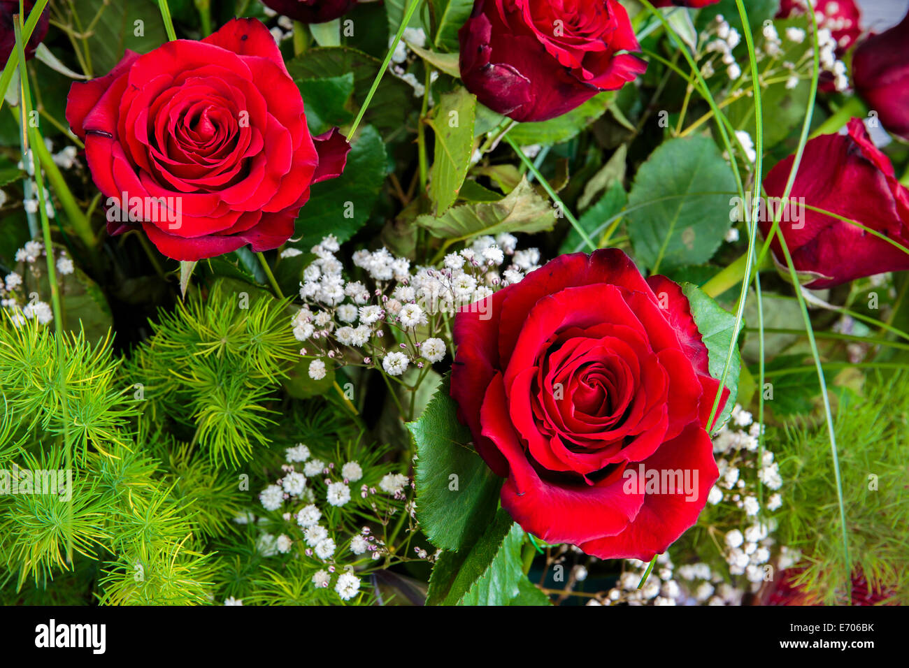 Closeup of beautiful freshly cut red roses bouquet Stock Photo - Alamy