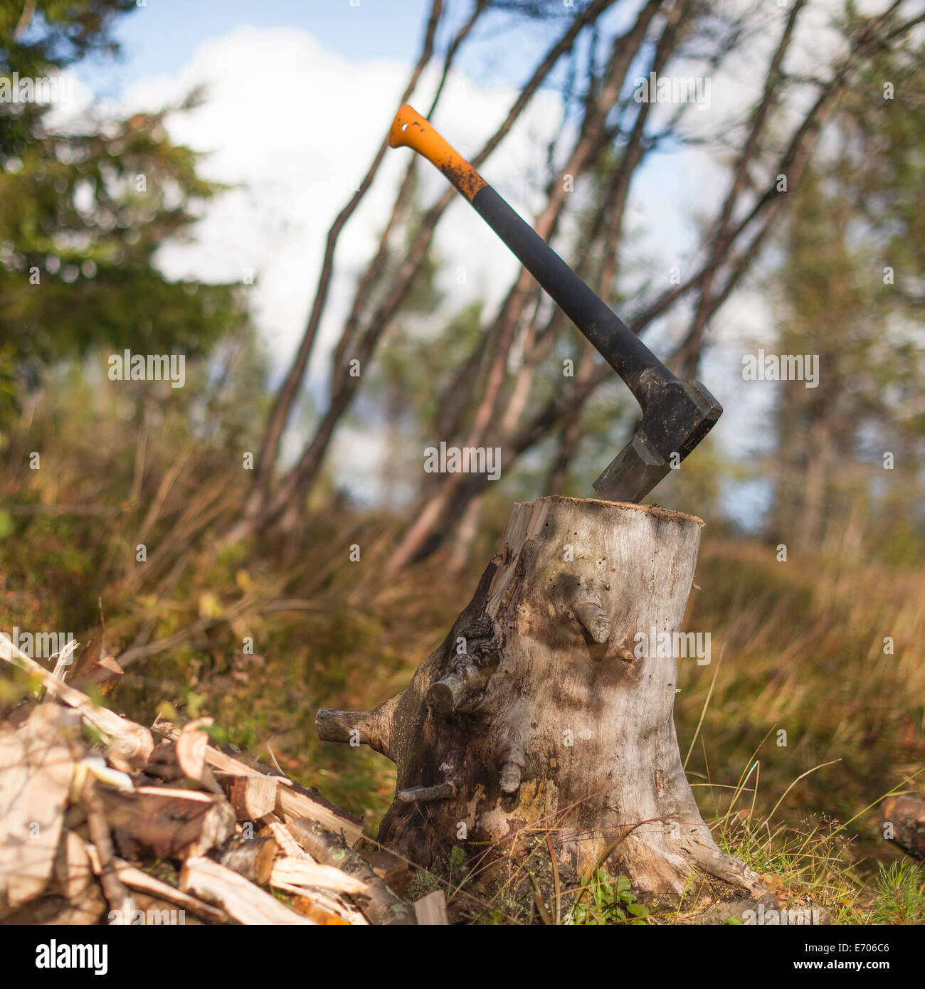 Axe stuck in tree stump Stock Photo - Alamy