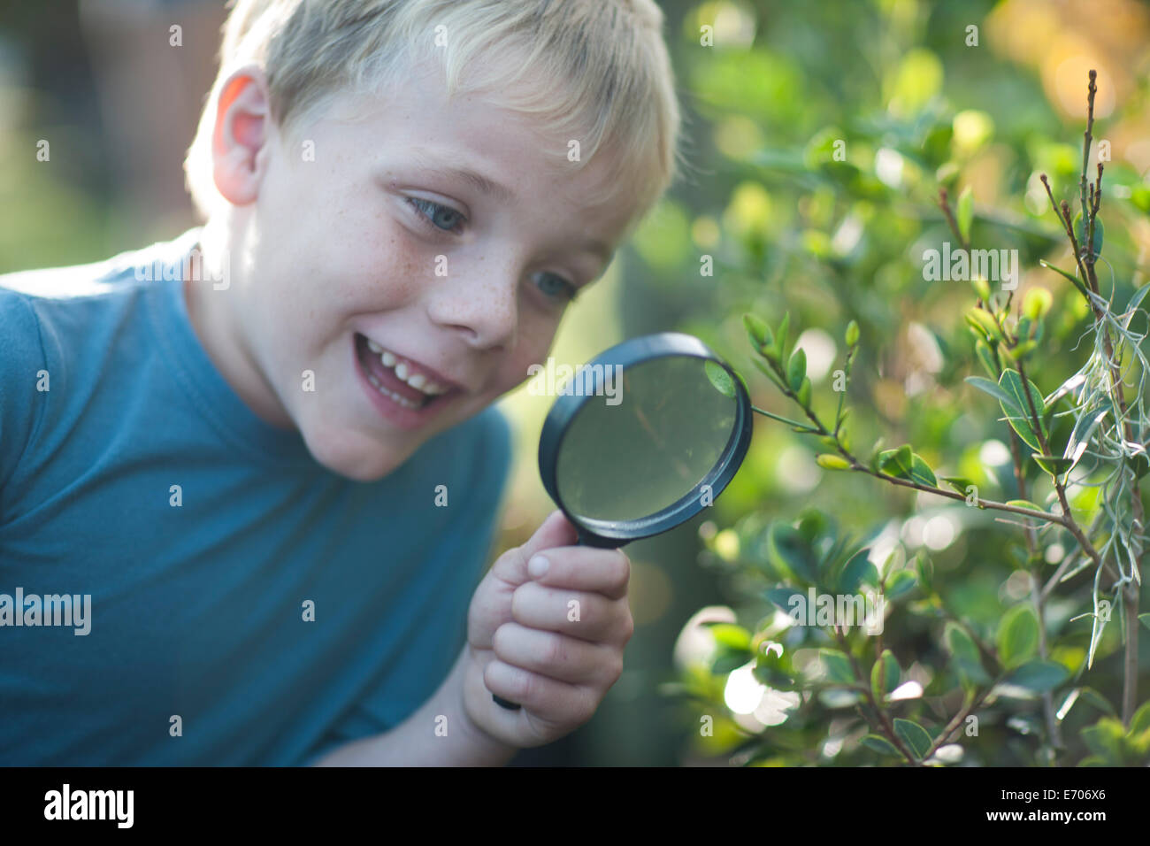 Boy discovering plants with magnifying glass in garden Stock Photo - Alamy
