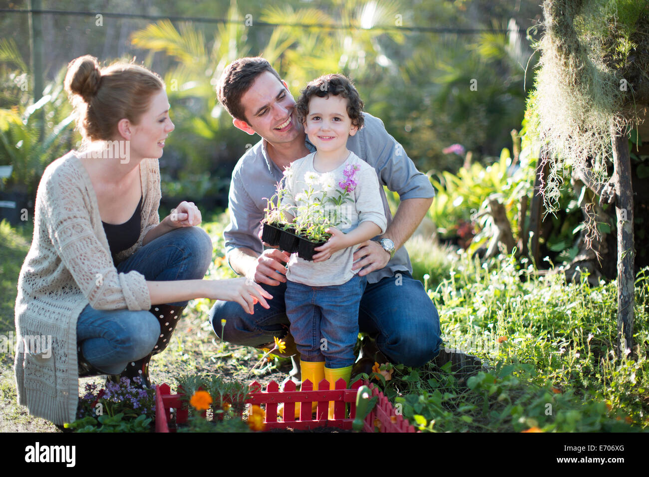 Couple and son planting miniature garden on allotment Stock Photo - Alamy