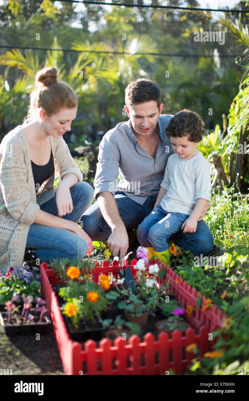 Miniature garden hi-res stock photography and images - Alamy